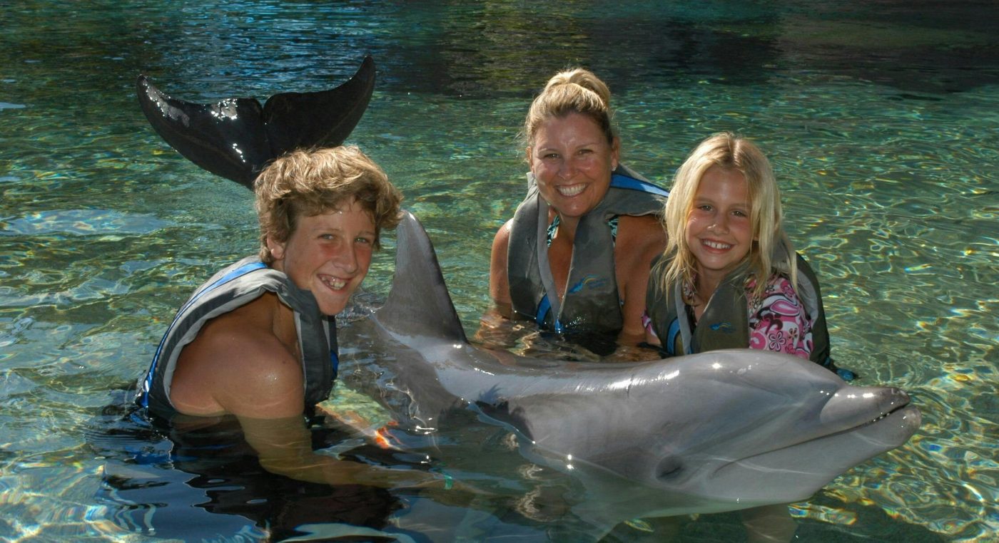 Dolphin Family and Friends | Dolphin Quest