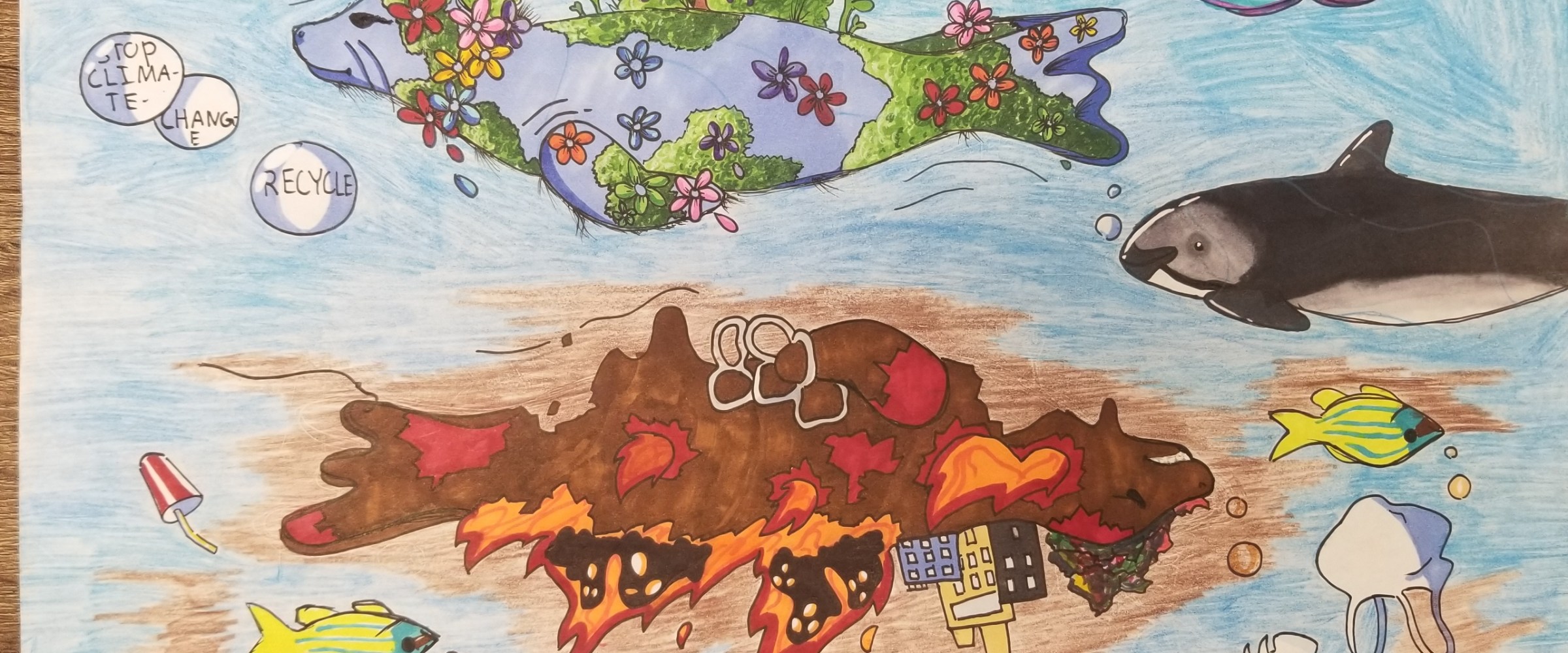 Hawaii Student Stewards Art Contest | Dolphin Quest Big Island